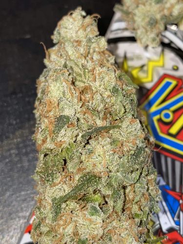 Kmintz Strain Info / Kmintz Weed By Ripper Seeds - GrowDiaries