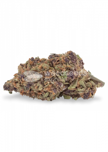 Godfather OG feminized seeds Strain Info / Godfather OG feminized seeds ...
