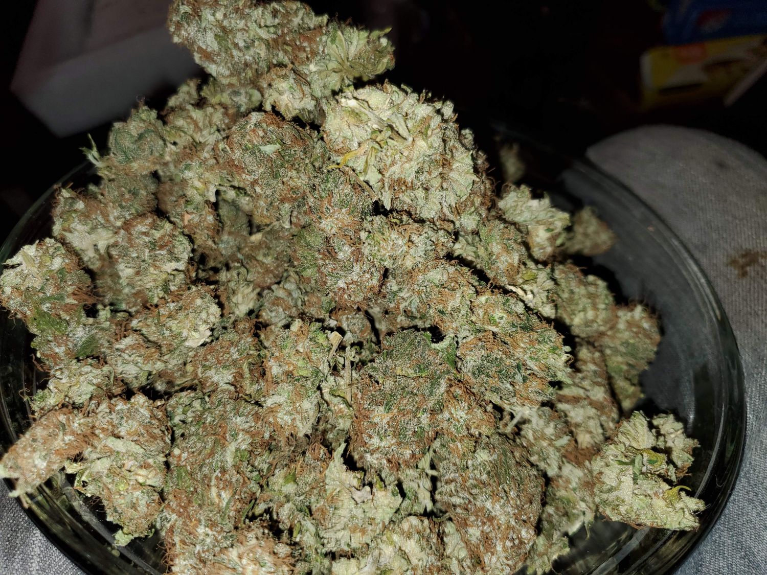 Romulan Strain Info / Romulan Weed By Pyramid Seeds - GrowDiaries