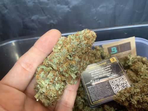 Lemon Walker Strain Info / Lemon Walker Weed By DNA Genetics - GrowDiaries