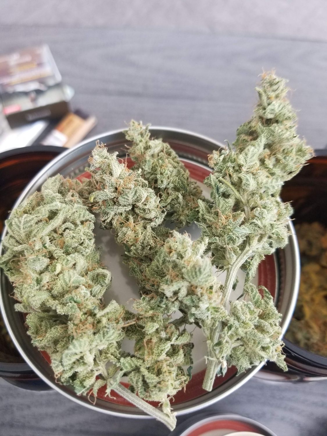 Hawaii Maui Waui Strain Info / Hawaii Maui Waui Weed By Nirvana - GrowDiaries