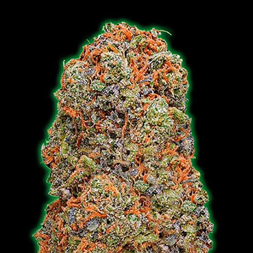 Monster Gelato Strain Info / Monster Gelato Weed By Monster Genetics ...
