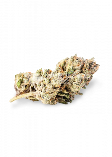 Zkittlez autoflower seeds Strain Info / Zkittlez autoflower seeds Weed ...