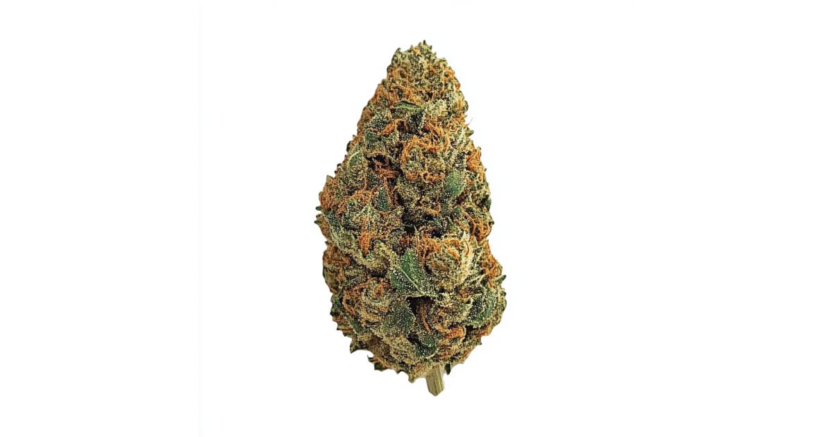 OG Kush Cannabis Strain Information - GrowDiaries