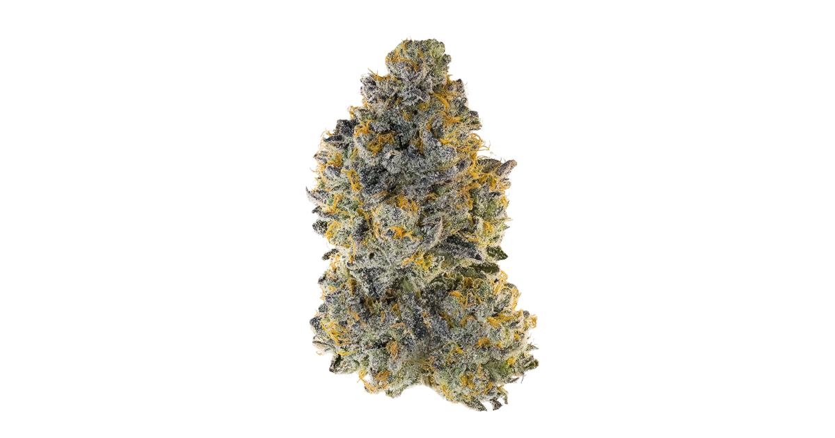 Turtle’s Key Club Cannabis Strain Products - GrowDiaries