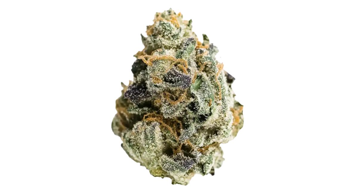 Cotton Candy Cannabis Strain Information - GrowDiaries