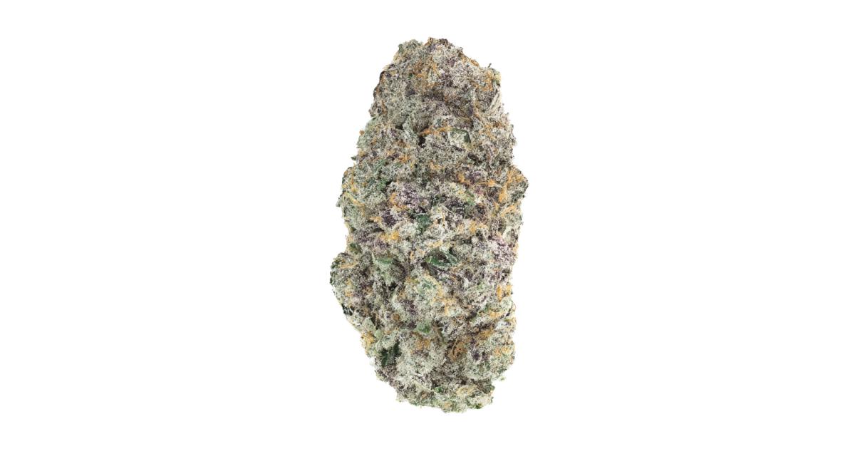 Suit N Tie Strain