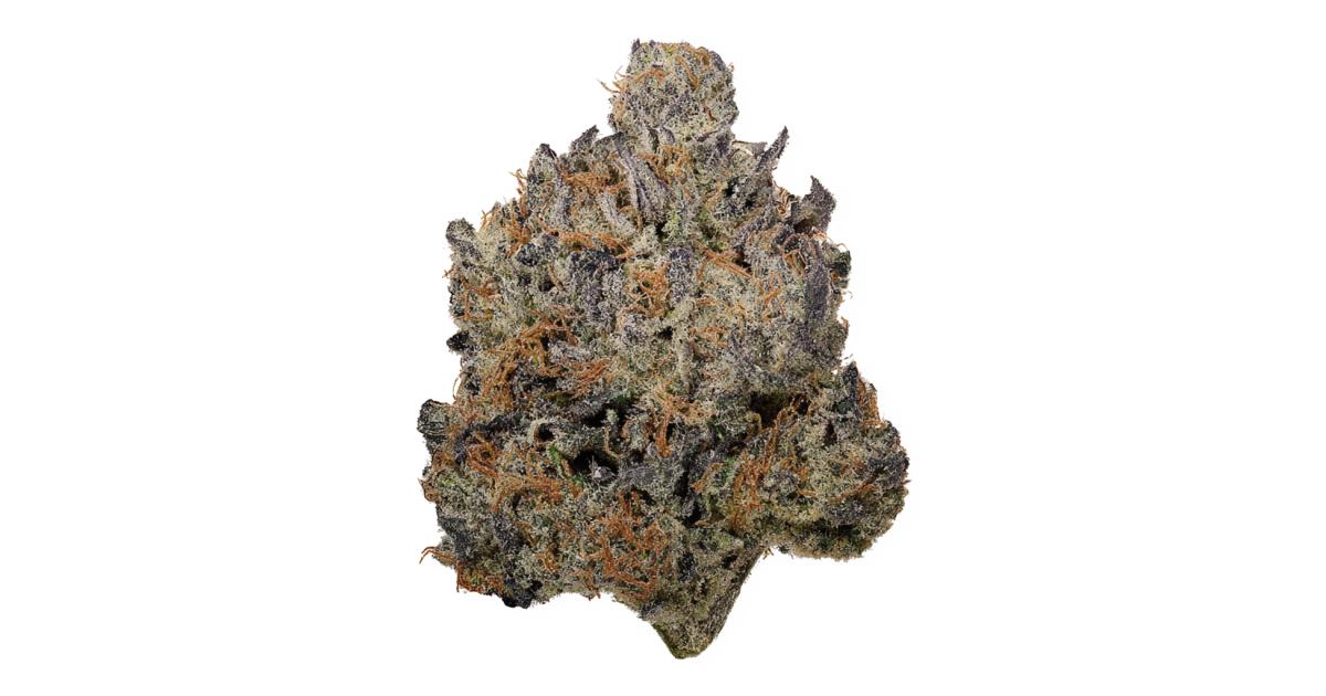 99 Scoops Strain