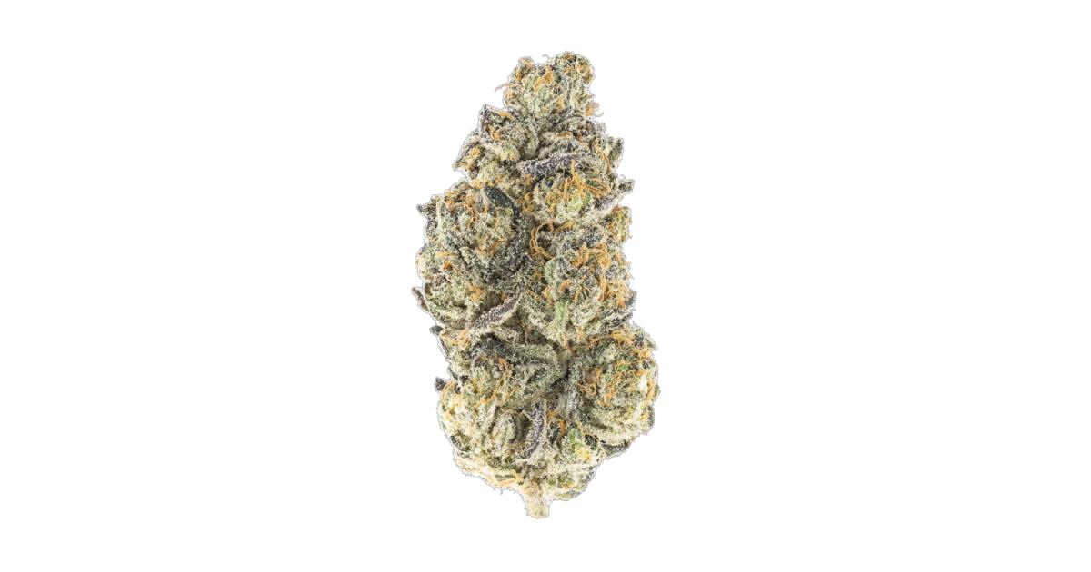 Cauldron Cannabis Strain Diaries - GrowDiaries