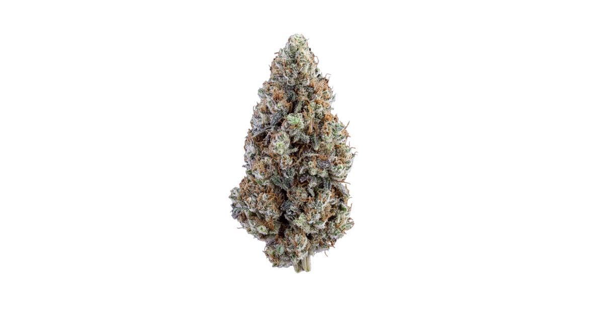 Future Cannabis Strain Information - GrowDiaries
