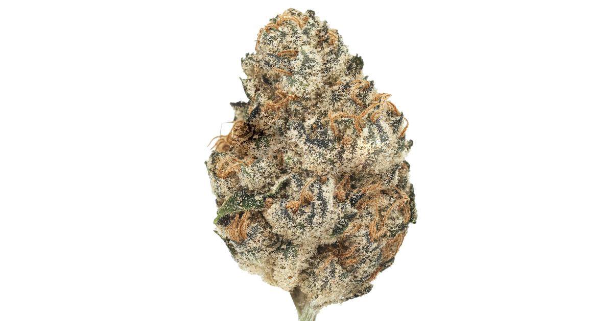 Cherry Runtz Cannabis Strain Info - GrowDiaries