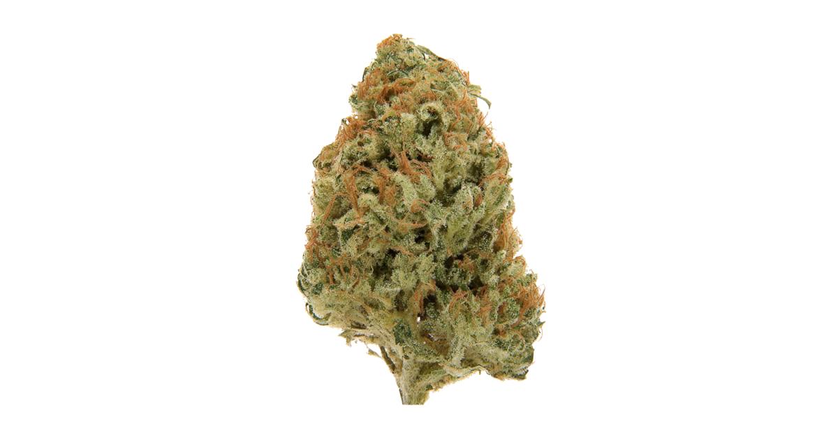 Sweet Cheese™ Cannabis Strain Information - GrowDiaries