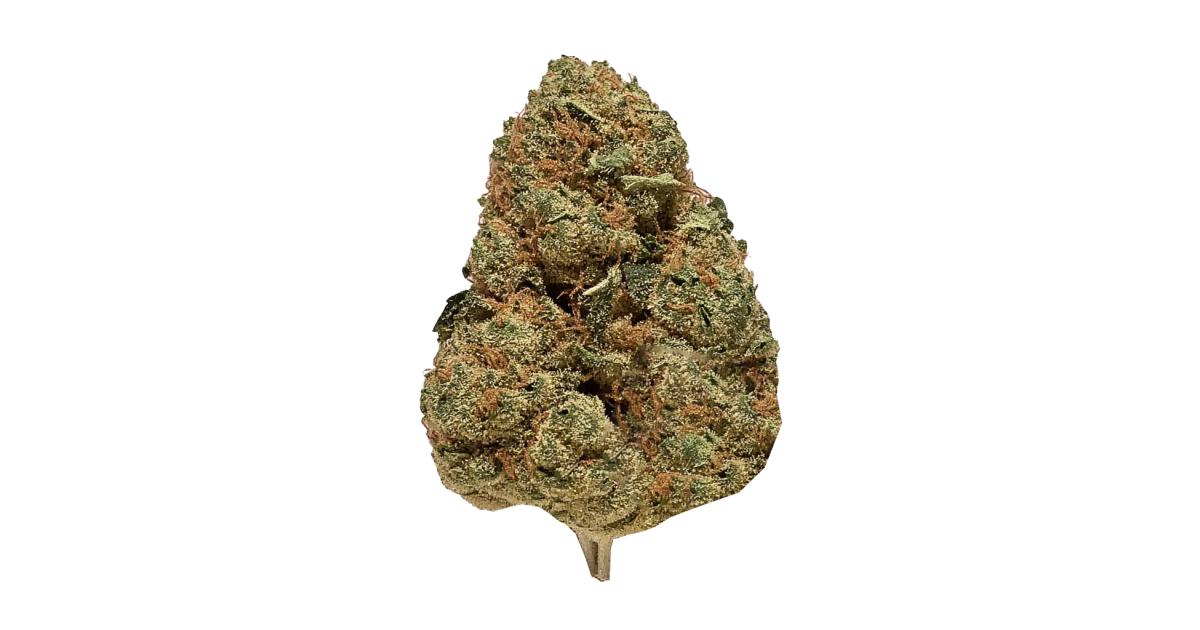 Area 51 Cannabis Strain Information - GrowDiaries