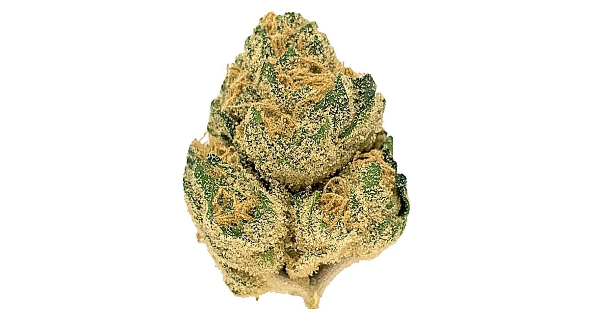 Motorhead Cannabis Strain Information - GrowDiaries