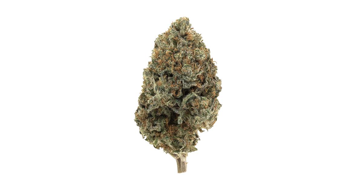 Sour Strawberry Cannabis Strain Diaries - GrowDiaries
