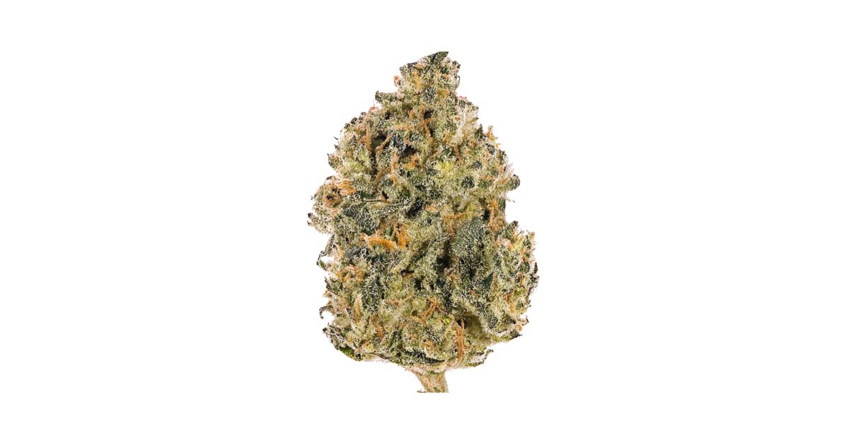 Blue Cherry Gelato Cannabis Strain Information - GrowDiar...