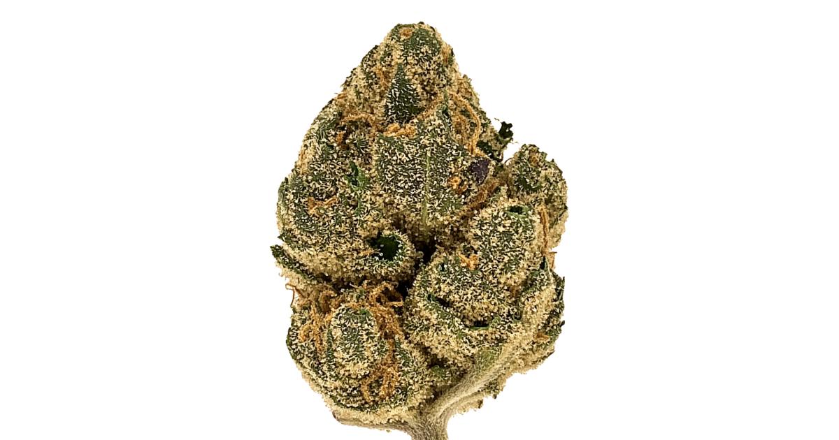 Green Dream Cannabis Strain Information - GrowDiaries