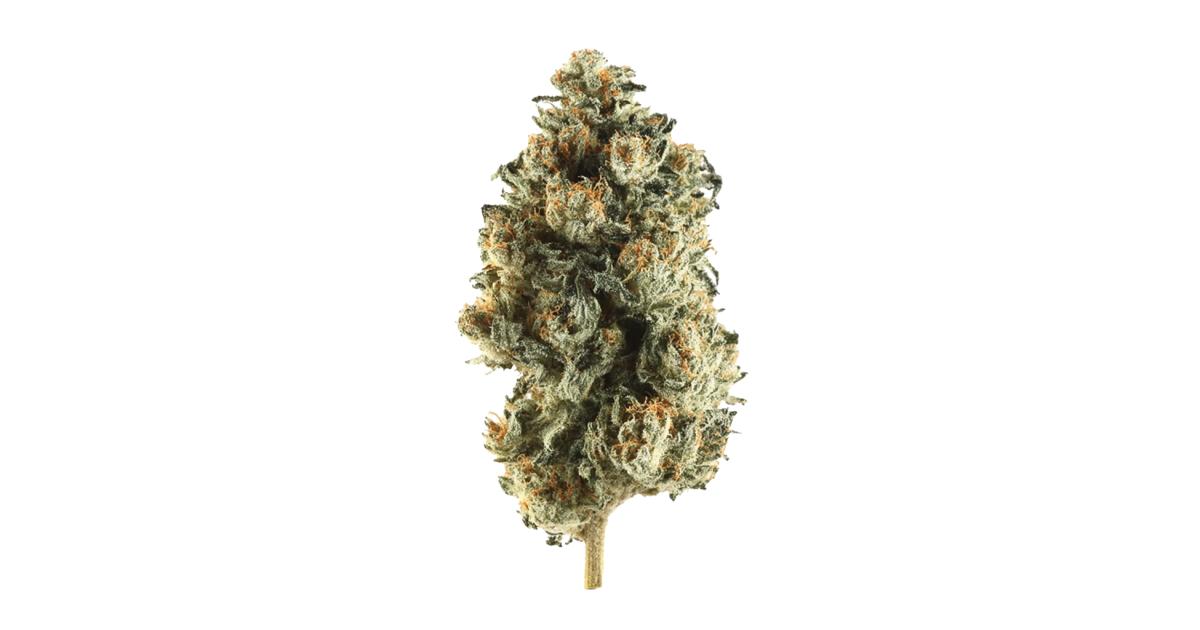 Cherry Tart Cannabis Strain by Bred by 42 Information