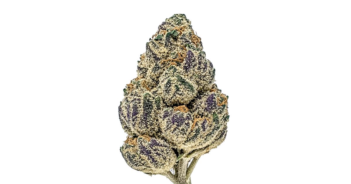 Sunset Gelato Cannabis Strain Information - GrowDiaries