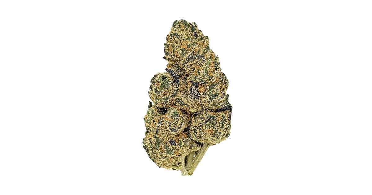 MAC and Jack Cannabis Strain Information - GrowDiaries