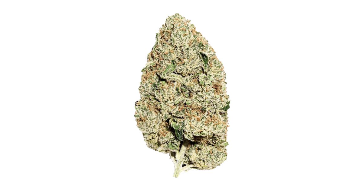 Motorbreath Cannabis Strain Information - GrowDiaries