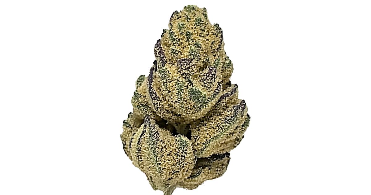 Collins Ave Cannabis Strain Information - GrowDiaries