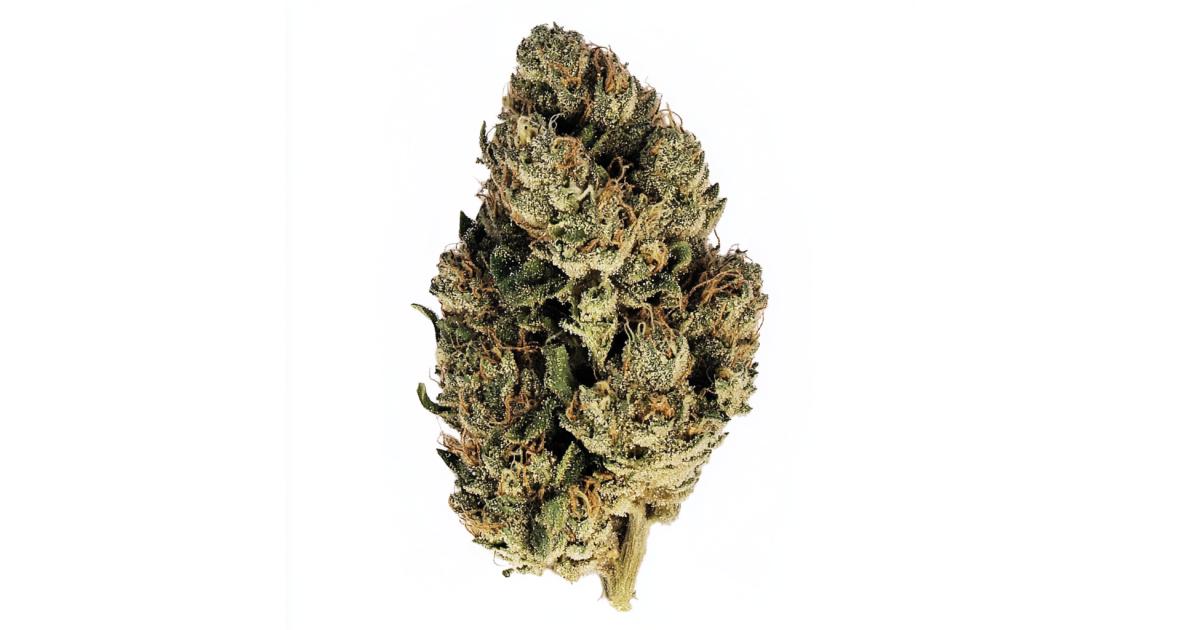 Skywalker Cannabis Strain Information - GrowDiaries