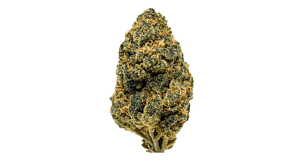 Cherry Fritter Cannabis Strain Information - GrowDiaries
