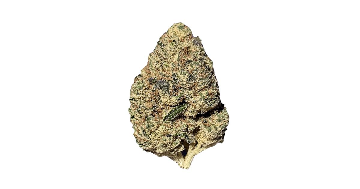 Ghost Rider OG Cannabis Strain Information - GrowDiaries