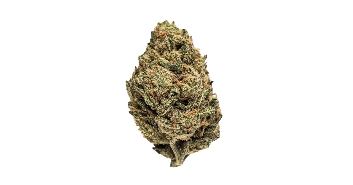 Alien OG Cannabis Strain Information - GrowDiaries
