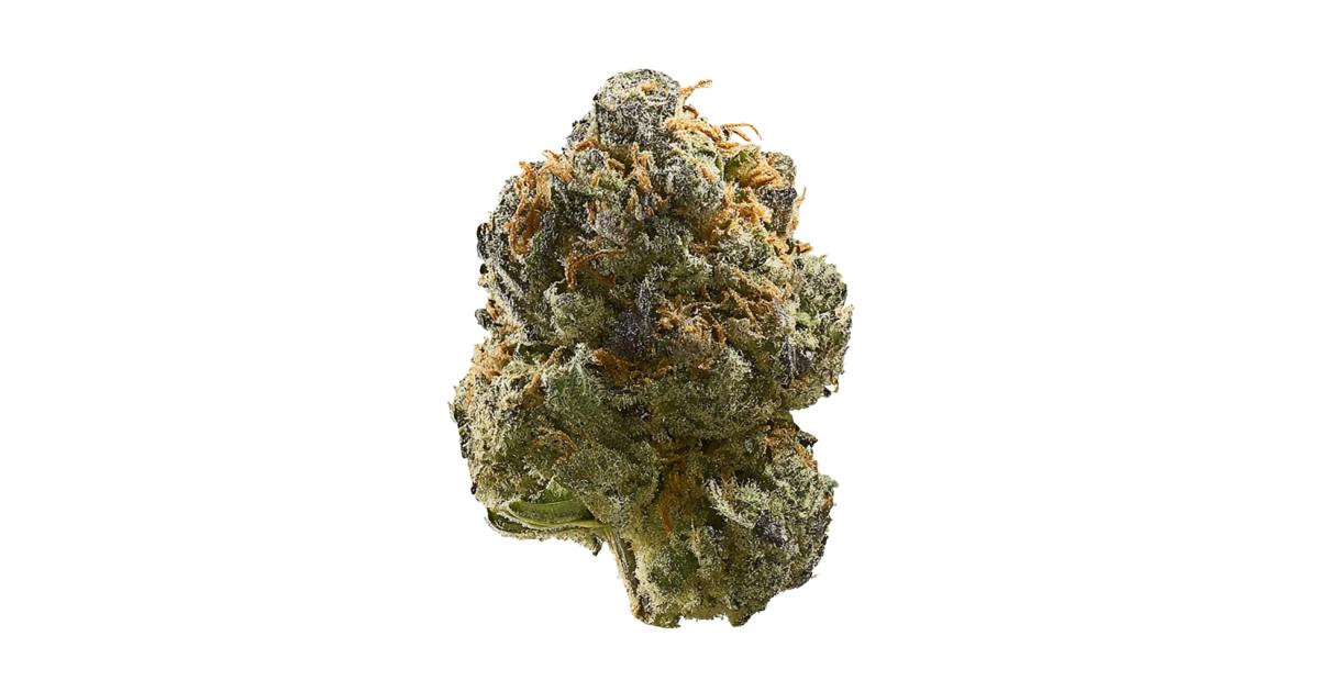 Candy Paint Cannabis Strain Information - GrowDiaries