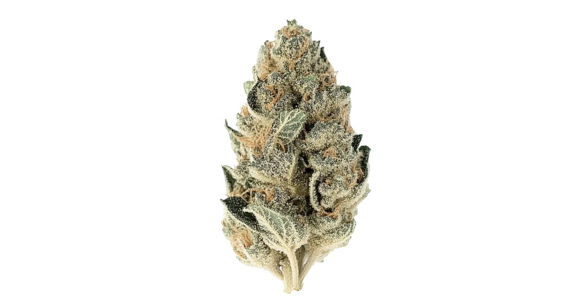 Sugar Biscuits Cannabis Strain Information - GrowDiaries