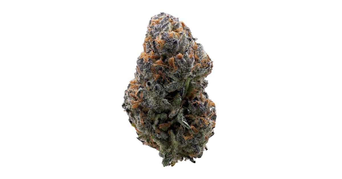 Gelato Punch Cannabis Strain Harvests - GrowDiaries