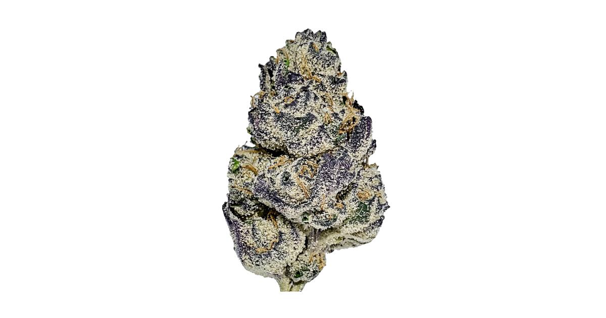 Runtz Buttonz Cannabis Strain Diaries - GrowDiaries