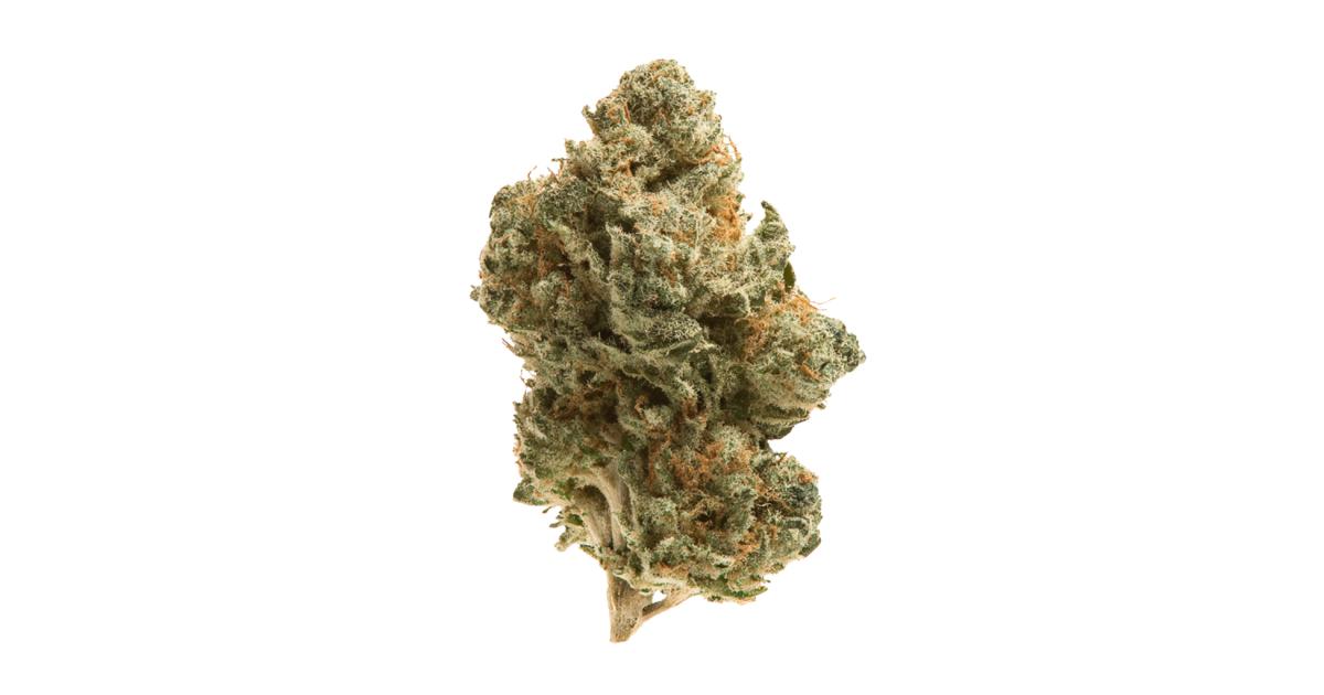 Mango Sherbert Cannabis Strain Diaries - GrowDiaries