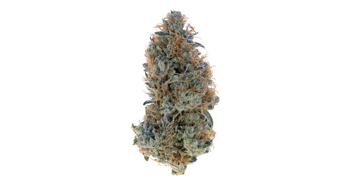 Blue Magic Cannabis Strain Information - GrowDiaries