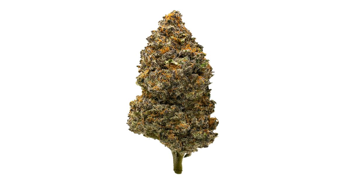 Gushers Cannabis Strain Information - GrowDiaries