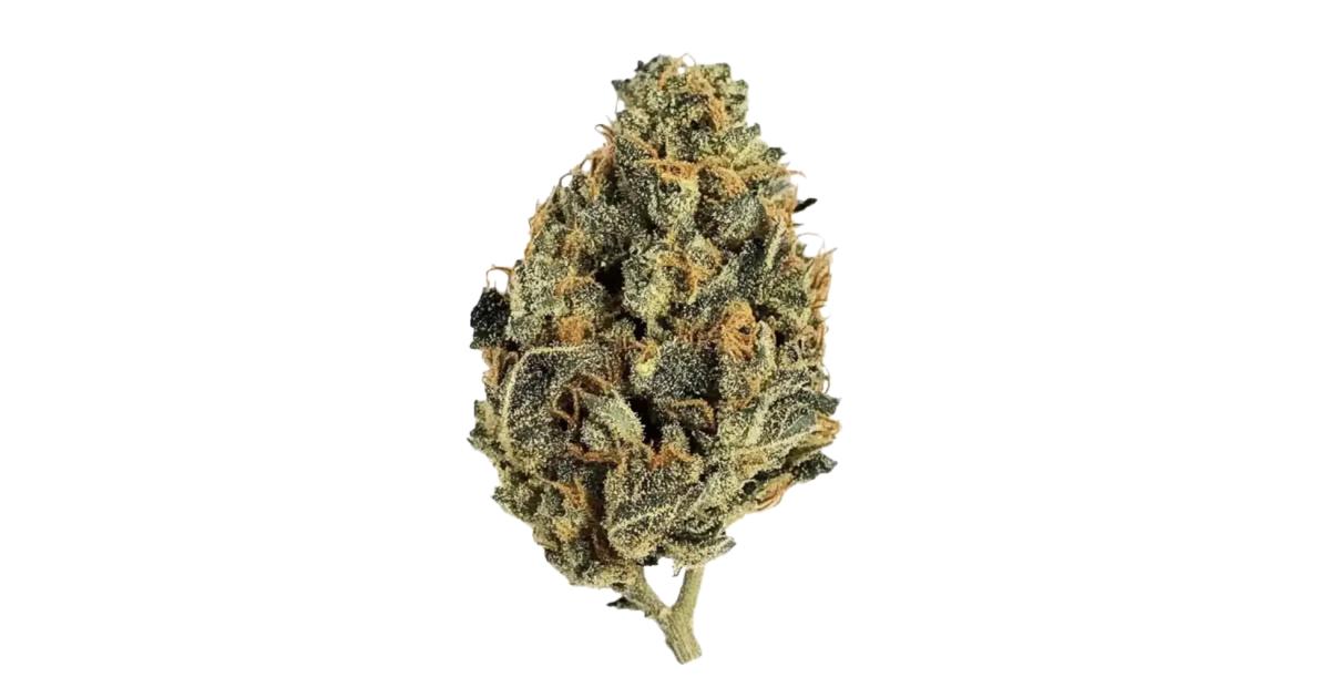 Gushers Cannabis Strain Information - GrowDiaries