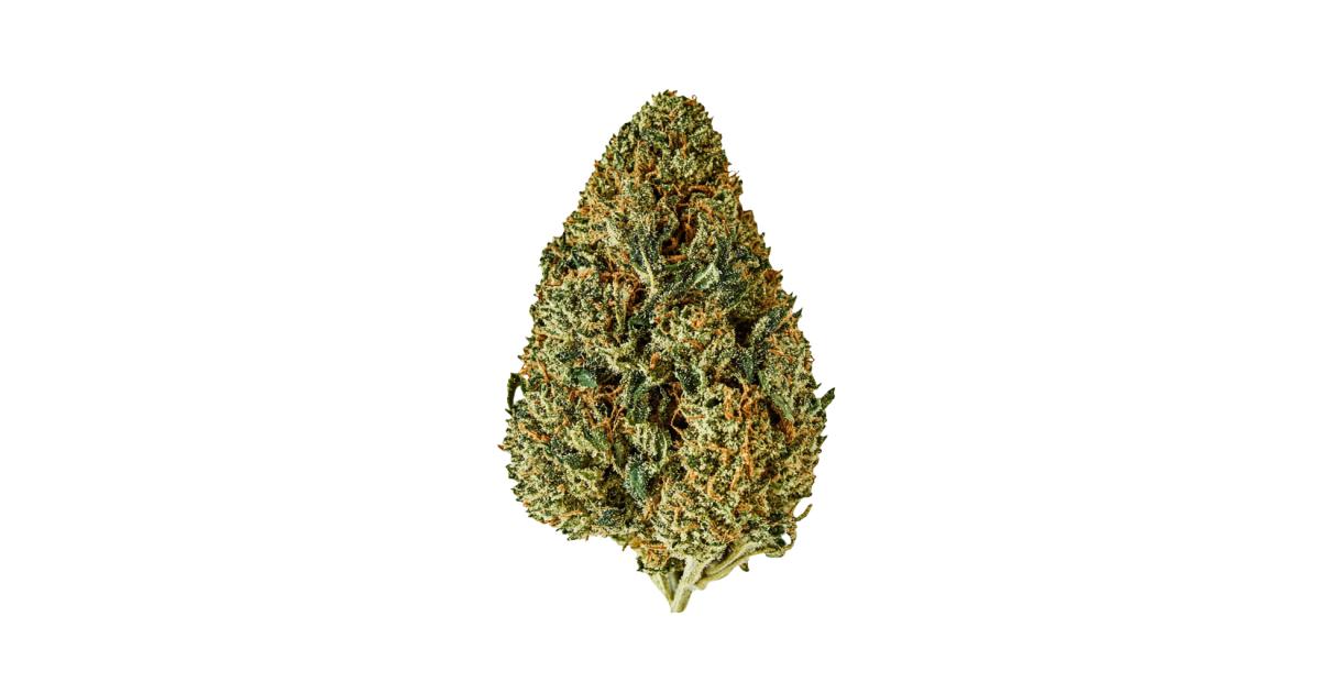 Caramel Cream Cannabis Strain Information - GrowDiaries
