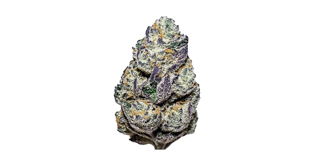 Blue Biscotti Cannabis Strain Information - GrowDiaries