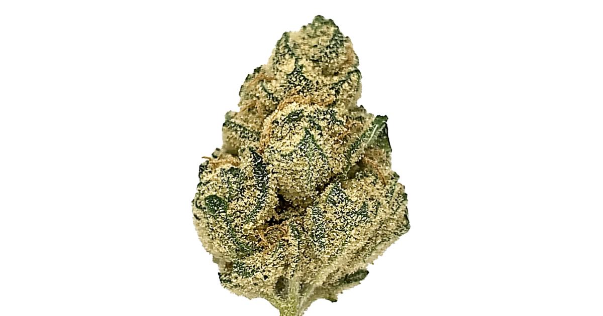 Citral Glue Cannabis Strain Information - GrowDiaries