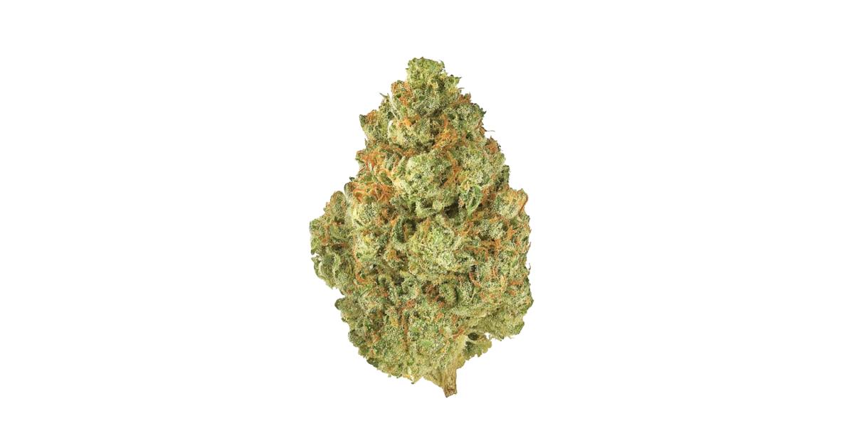 The Piff Cannabis Strain Information - GrowDiaries