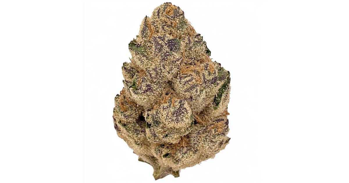 Molotov Cocktail Cannabis Strain Information - GrowDiaries