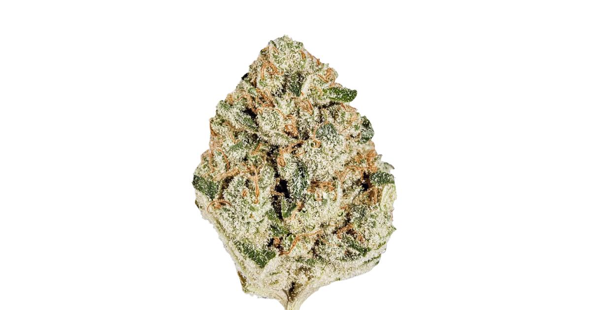 Gelato Cake Cannabis Strain Information - GrowDiaries