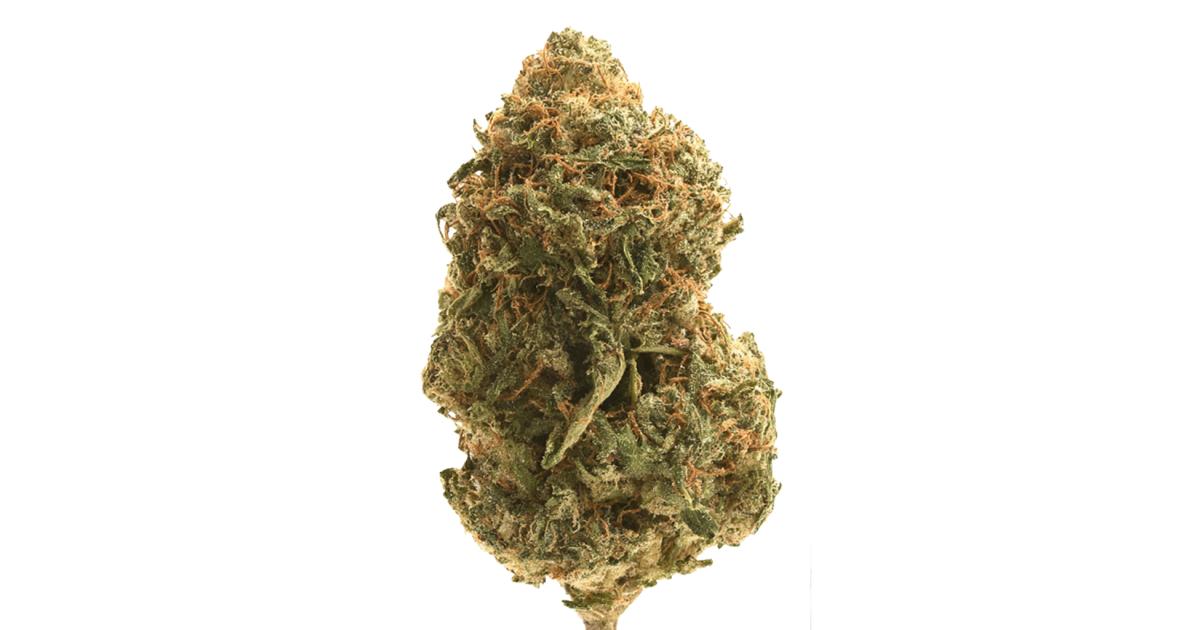 Silver Surfer Cannabis Strain Information - GrowDiaries