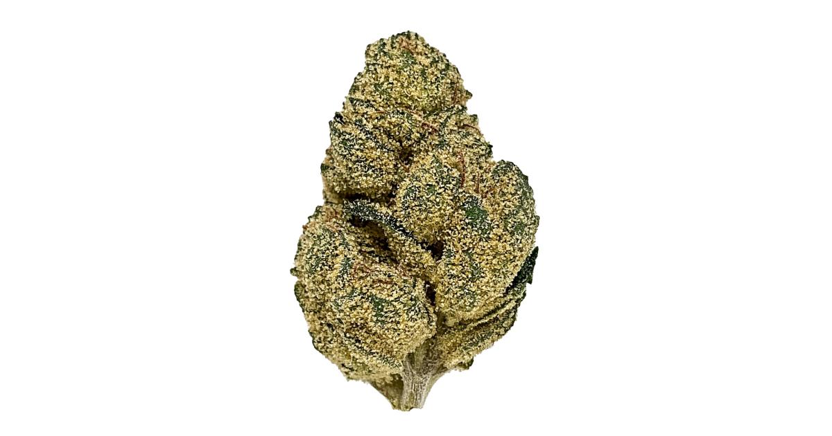 Ice Cream Sundae Cannabis Strain Information - GrowDiaries