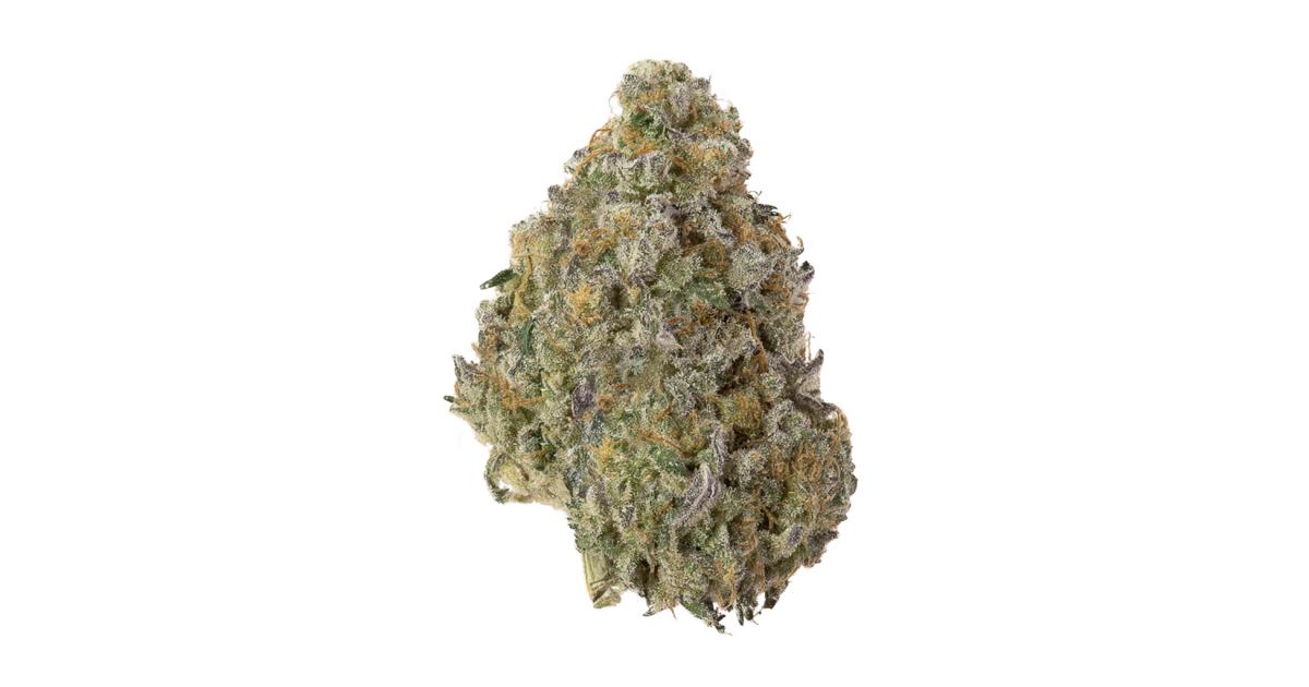 Race Fuel Cannabis Strain Information - GrowDiaries