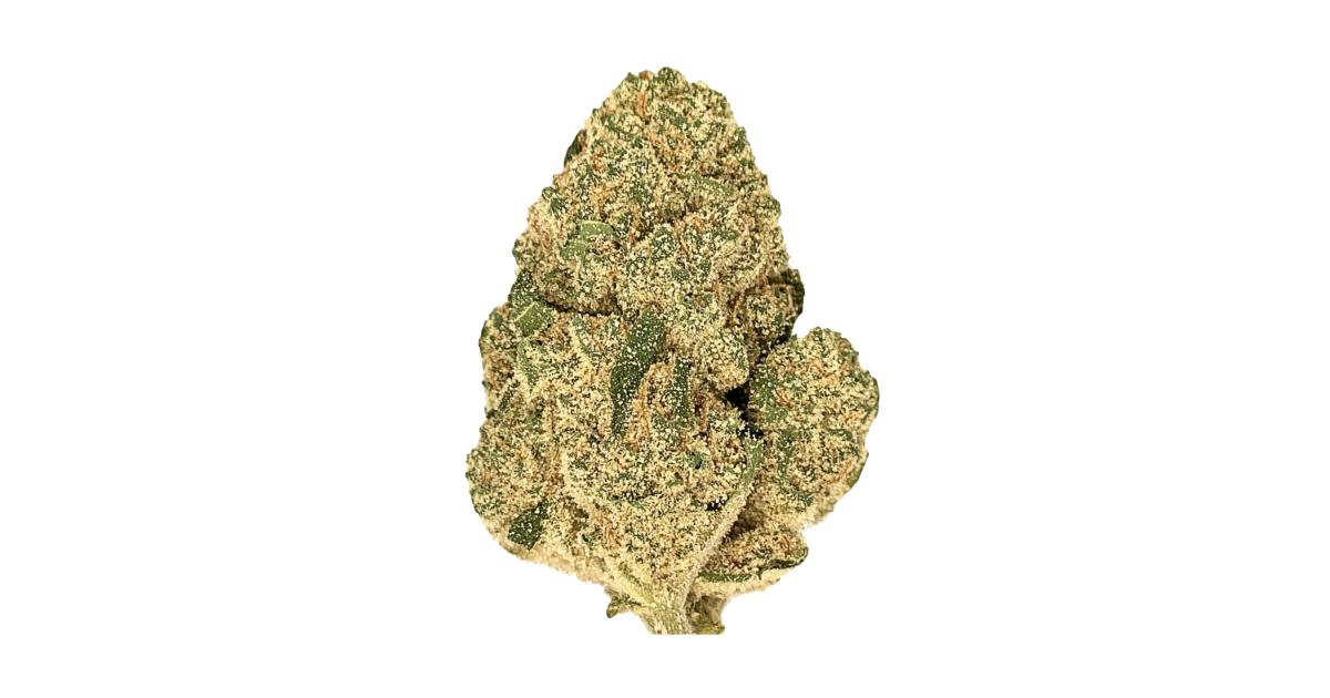 Malawi Gold Cannabis Strain Information - GrowDiaries