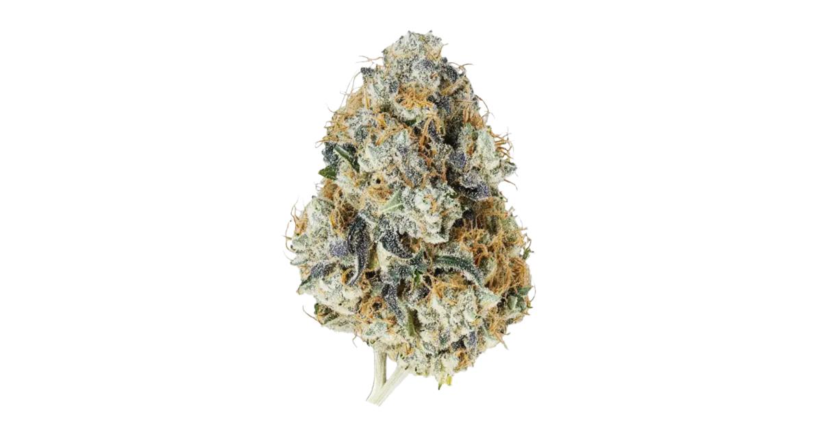 Gary Payton Cannabis Strain Information - GrowDiaries