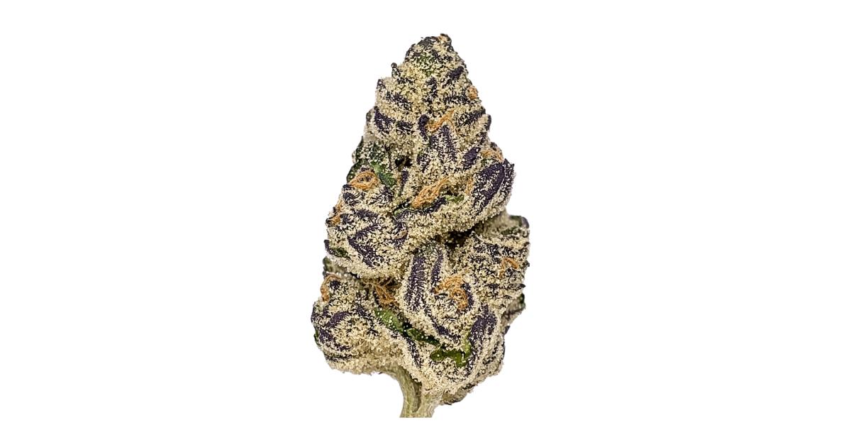 Kamikaze Cannabis Strain Information - GrowDiaries